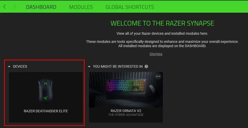 How to Fix Razer Mouse Not Working? - Tech2Geek